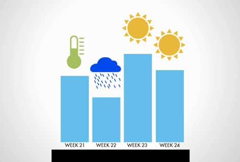 Planalytics, Inc. | Weatherize Your Business