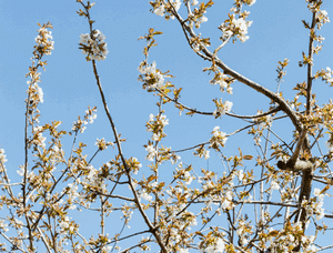 Spring Surge Alert: Unseasonably Warm Temps Set to Boost Sales in the ...