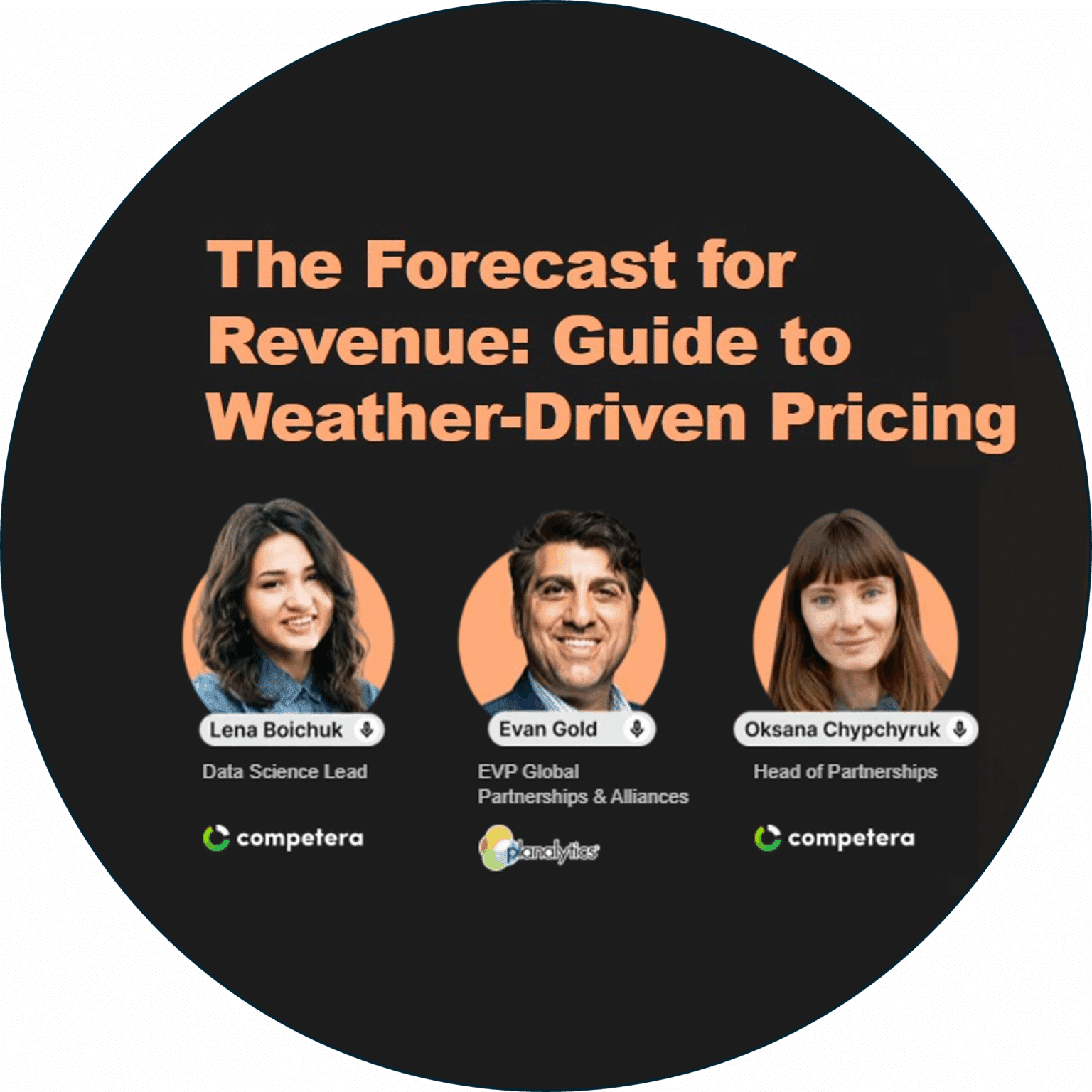 The Forecast for Revenue: Guide to Weather-Driven Pricing - Planalytics ...